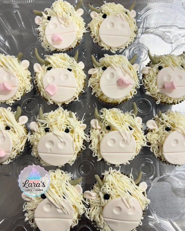 Lara’s Cakes & Bakes